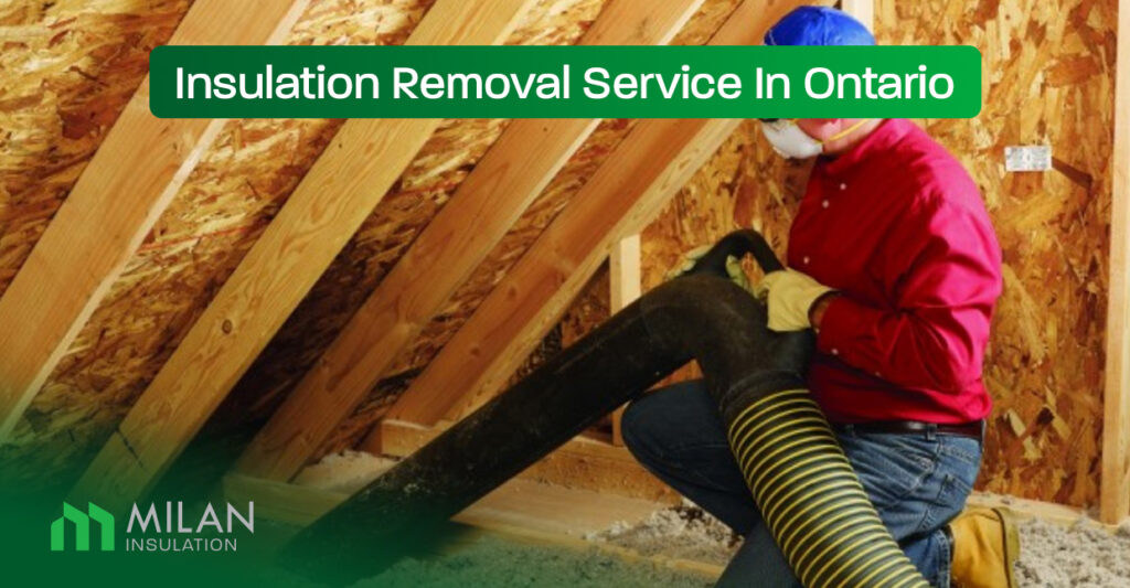 Insulation Removal Services in Ontario | Milan Insulation
